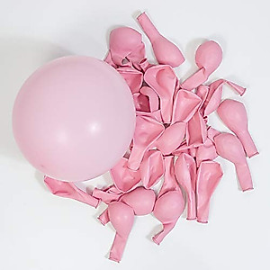 Macaron Pink Balloon Metallic Gold Balloon Ivory White Balloon 133Pcs-Balloon Arch Garland Kit for Baby Shower,Wine Party,Fiesta,Birthday,Wedding,Christmas,Reception and Engagement