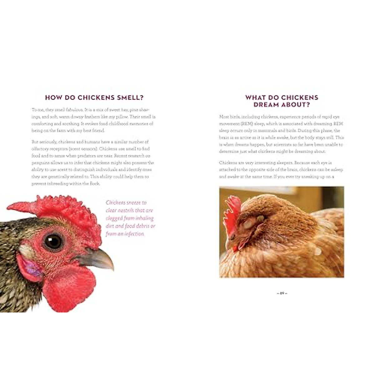 How to Speak Chicken: Why Your Chickens Do What They Do & Say What They Say