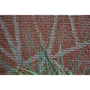 Furnish my Place Modern Indoor/Outdoor Commercial Rust Rug, Modern Area Rug, Baby Nursery Mat, Commercial Rug for Living Room, Playroom, Made in USA - 9' Hexagon