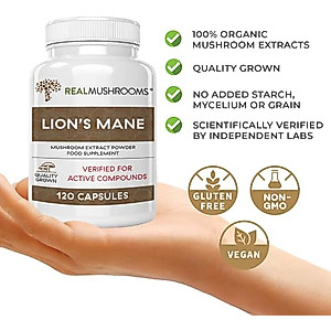 Lions Mane Brain and Focus Supplements - Mushroom Powder Extract Capsules - Non GMO and Gluten Free Supplement for Better Cognitive Health