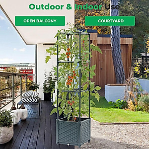 KOBAZ Raised Garden Bed with Tomato Planter Cage, Trellis Planter Boxes for Outdoor Patio Greenhouse Gardening Climbing Vegetables