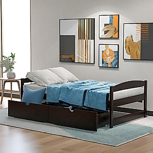 Lifeand Twin Size Daybed with 2 Drawers,Wood Storage Platform Bed for Kids Teens and Adults,No Box Spring Needed,Espresso