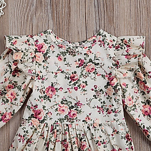 Infant Baby Girl Twins Long Sleeve Ruffles Romper Bodysuit Outfit Clothes (0-6 Months, Floral)