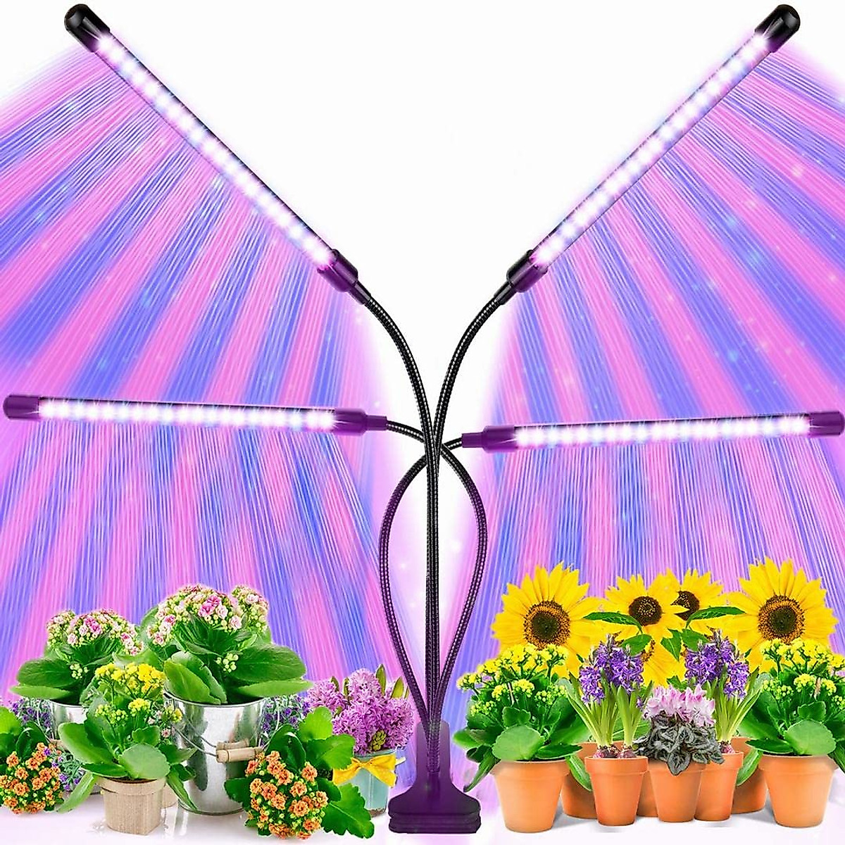 EZORKAS Grow Light, 80W Tri Head Timing 120 LED 9 Dimmable Levels Plant Grow Lights for Indoor Plants with Red Blue Spectrum, Adjustable Gooseneck, 3 9 12H Timer, 3 Switch Modes