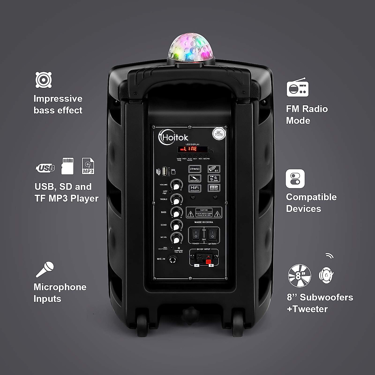Portable Karaoke Machine 8’’ PA Speaker System Bluetooth Karaoke System for Adults & Kids with Disco Ball, Microphone Rechargeable Battery USB/SD Reader