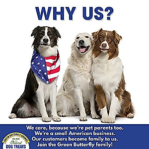 Green Butterfly Brands Chicken Jerky - Dog Treats Made in USA Only - 1 Ingredient: USDA Grade A Chicken Breast - No Additives or Preservatives - Grain Free Snack, All Natural Premium Strips, 8 Ounces