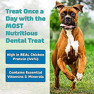 Yummy Combs Dog Dental Treats | Vet VOHC Approved | Protein Treat | Dental Care & Cleaning Comb Shape | Yummy Dog Treats | Dental Dog Treats for Small Dogs (12oz, 21 Count)