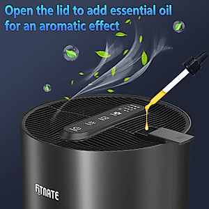 FITNATE Air Purifier with Essential Oil Diffuser & Essential Oils Storage