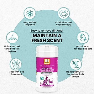 Nootie Waterless Shampoo Wipes for Dogs & Cats - Long Lasting Japanese Cherry Blossom Fragrance - Sold in Over 10,000 Vet Clinics and Pet Stores Worldwide, Made in USA - 70 Count