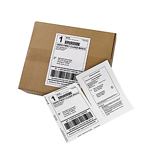 Avery Printable Shipping Labels with Paper Receipts, 5-1/16" x 7-5/8", White, 100 Blank Mailing Labels (27900)