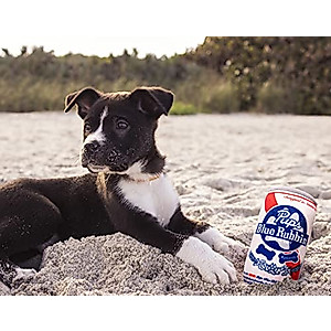 Nestpark Pup Light and Pups Blue Rubbin - Funny Dog Toys - Plush Squeaky Dog Toys for Medium, Small and Large - Cute Dog Gifts for Dog Birthday - Cool Stuffed Parody Dog Toys (2 Pack) (Mix)