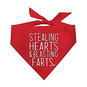 Stealing Hearts & Blasting Farts Dog Bandana (Red)