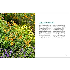 Deer-Resistant Native Plants for the Northeast