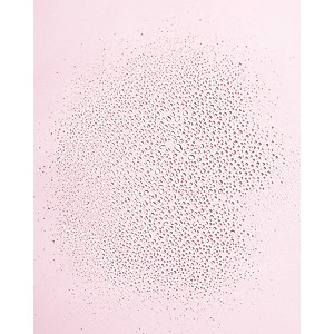 HERBIVORE Rose Hibiscus Coconut Water Hydrating Face Mist – Natural Dewy Glow, Organic Rose Water + Vegan Hyaluronic Acid, Plant-Based, Vegan, Cruelty-Free, 4 oz