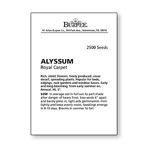 Burpee Royal Carpet Alyssum Seeds 2500 seeds