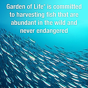 Garden of Life Ultra Pure EPA/DHA Omega 3 Fish Oil - Oceans 3 Beyond Omega 3 Supplement with Antioxidants, 60 Softgels