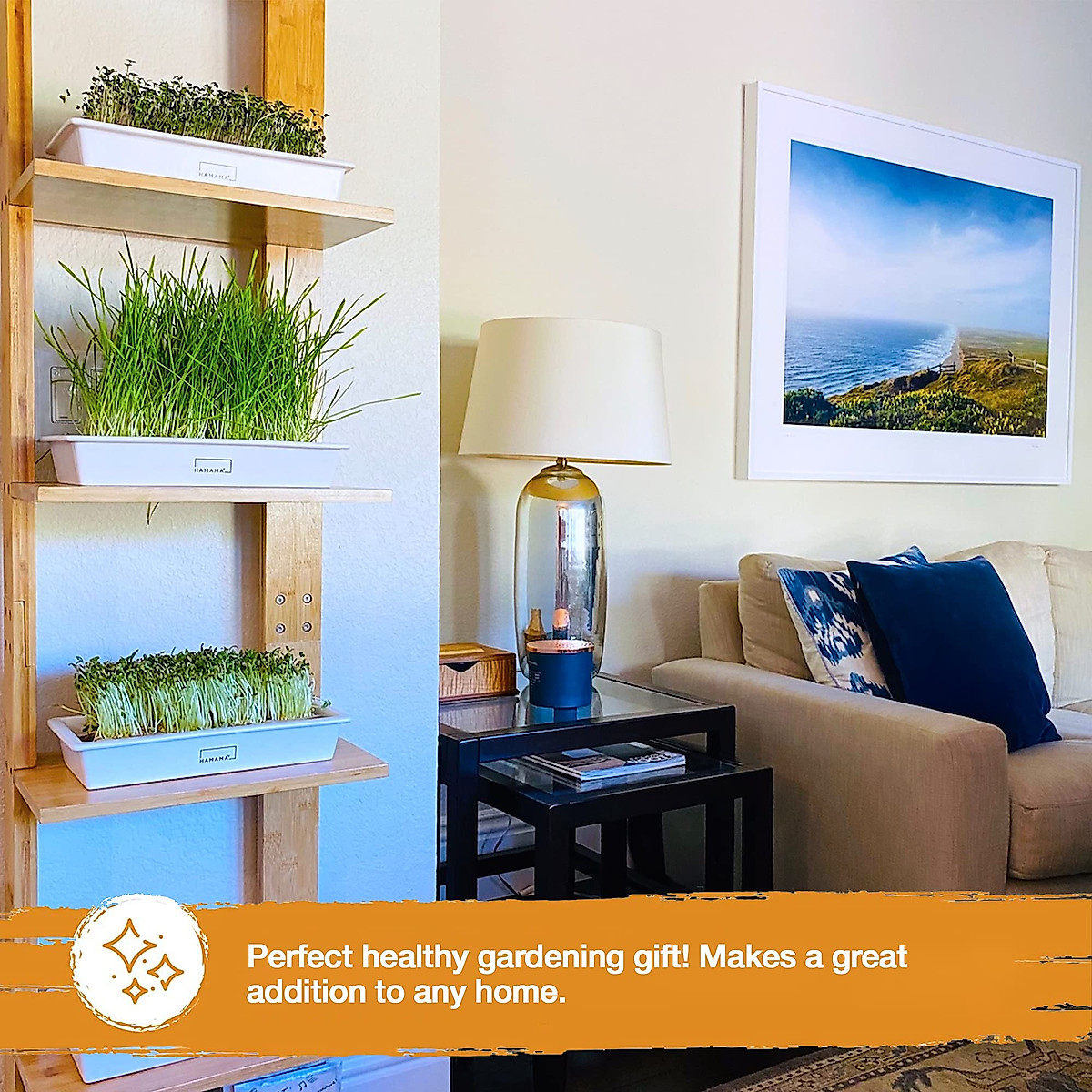 Powerhouse Veggies Refill for Hamama Home Microgreens Growing Kit - Grow Fresh Micro Greens Indoors Every Week, Just Add Water - Superfoods Microgreens Seeds - Grow Superfood Veggies and Supergeens