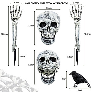 Skeleton Stakes with Crows - Scary Outdoor Halloween Yard Lawn Decorations, Groundbreakers for Skull Garden Graveyard Decor