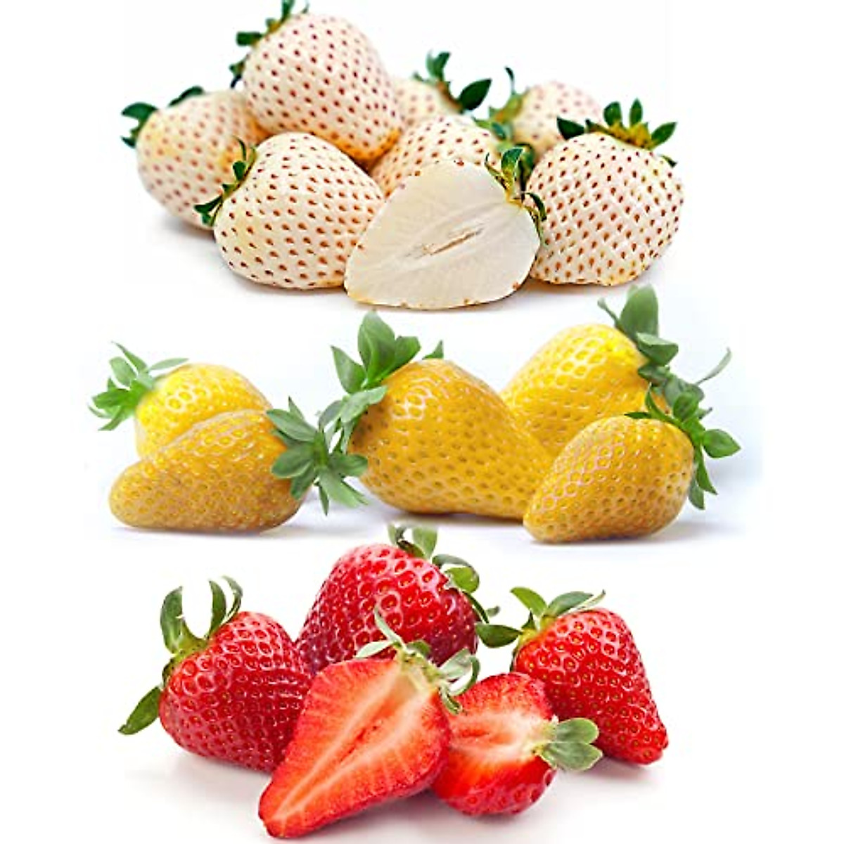 800+ Strawberry Seeds 400 White 300 Red and 100 Yellow Strawberry Seeds Mixed for Planting