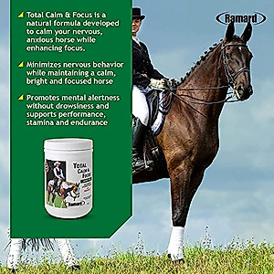 Ramard Total Calm & Focus Horse Supplement |Magnesium & Calming Supplement for Horse Training & Performance |Mental Alertness w/o Drowsiness |No Herbs or Banned Substances - Horse Show Supplies - 1 pk
