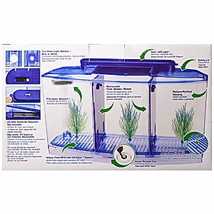 PENN-PLAX Deluxe Triple Betta Bow Tank Kit – Safely Divided Compartments – White and Blue LED Display Lights – Includes Under Gravel Filter & Plastic Plants – 0.7 Gallon in Blue