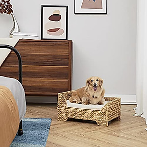 Teamson Pets Cat or Small Dog Raised Daybed Lounger Wicker Seagrass with Removable and Washable Cushion, 21" Long, Tan/Cream, ST-N10002, Beige, One Size