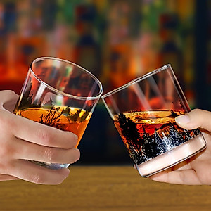 TOOWELL Whiskey Glasses Set of 2, 11OZ Bourbon Glasses Old Fashioned Glasses Handmade Lead-Free Scotch Tumbler, Birthday Gifts Valentines Day Gift, Rocks Glass for Liquor and Cocktail