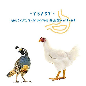 Manna Pro Gamebird Showbird Crumbles|Formulated for birds with Vitamins & Minerals|5 Pounds