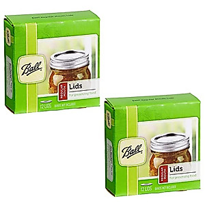 Ball Regular Mouth Mason Glass Jar Lids (24-Count), Silver