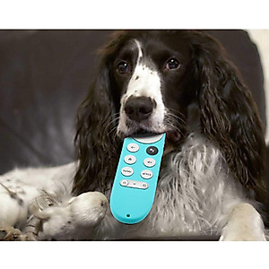 Glow Remote Cover Replacement for Google Chromecast TV 2020 Release Voice Remote, 2-Pack Silicone Protective case with Lanyard (Mint Green and Glow Green)