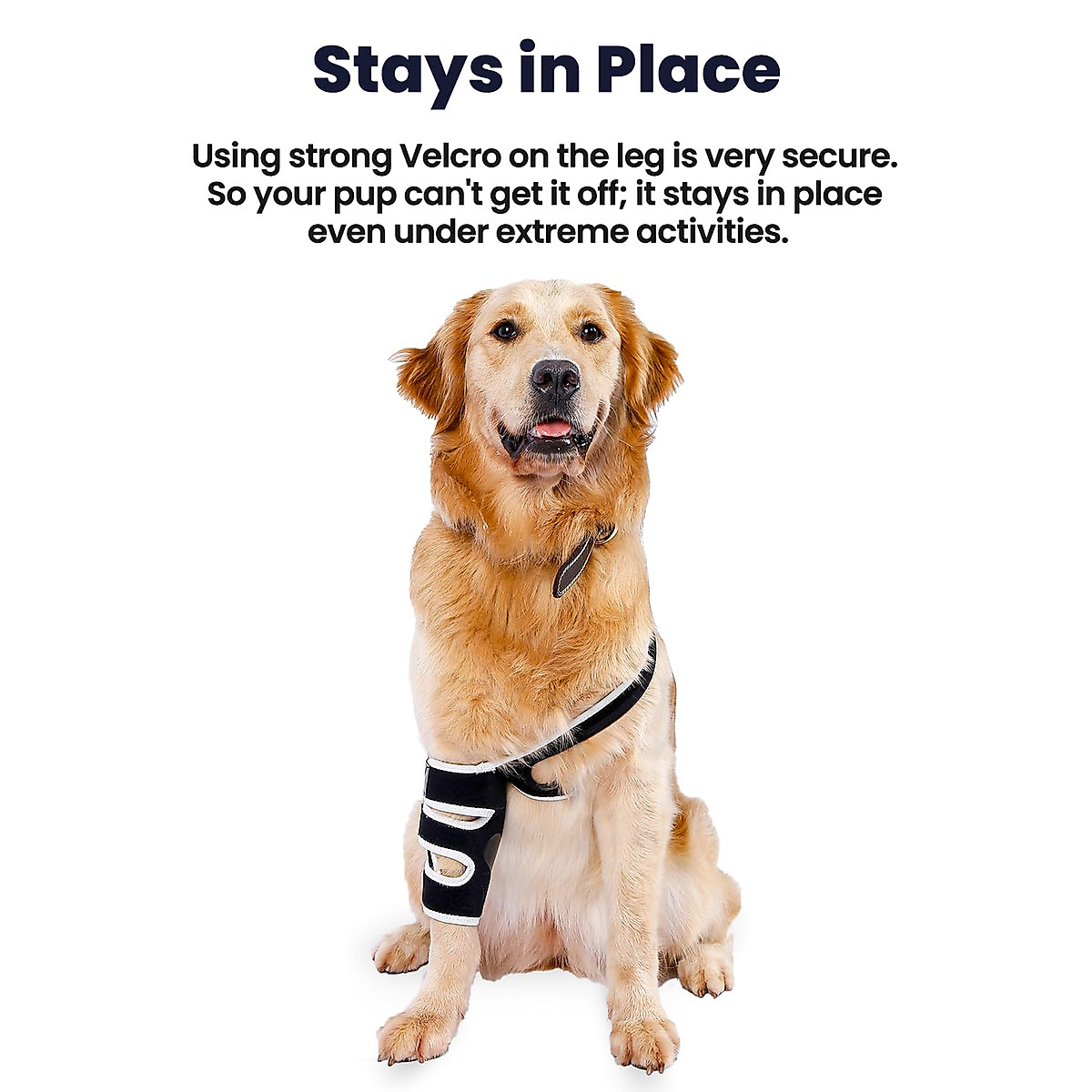 LufeLux Dog Elbow Protector, Padded Elbow Brace for Canine, Shoulder Support Protection for Callus, Hygroma, Dysplasia, Arthritis, Osteoarthritis, Pressure Sores, Avoid Cone of Shame