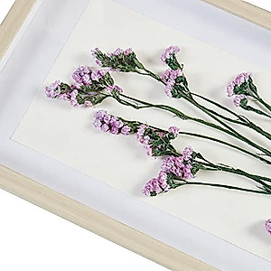 Madison Park Wall Art Living Room Décor - Sundried Natural Flowers in Shadowbox Frame, Floral Home Accent, Bedroom Decoration, Ready to Hang, 12" W x 24" H x 1.25" D, Multi 2 Piece