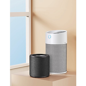 Air Purifier Replacement Filter, 3-in-1 True HEPA Filter, Removes up to 99.95% of Pet Hair, Pollen, Pet Dander, Mold Spores, Odor, Smoke, and Dust, Compatible with Air Purifier AP008