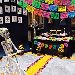 HOWAF 2 Pcs Plastic Papel Picado Mexican Fiesta Banners Day of The Dead Skull Bunting Banner Halloween Dia De Los Muertos Mexicano Banners for Cinco De Mayo Decorations Mexican Party Supplies