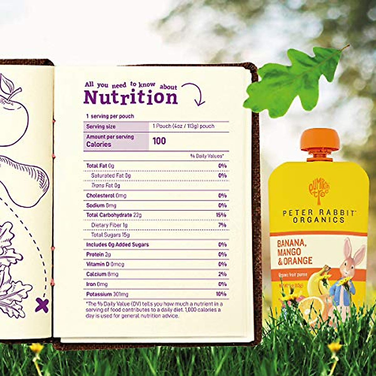 Pumpkin Tree Peter Rabbit Organics Mango, Banana and Orange Snacks, 4 Oz (Pack of 10)