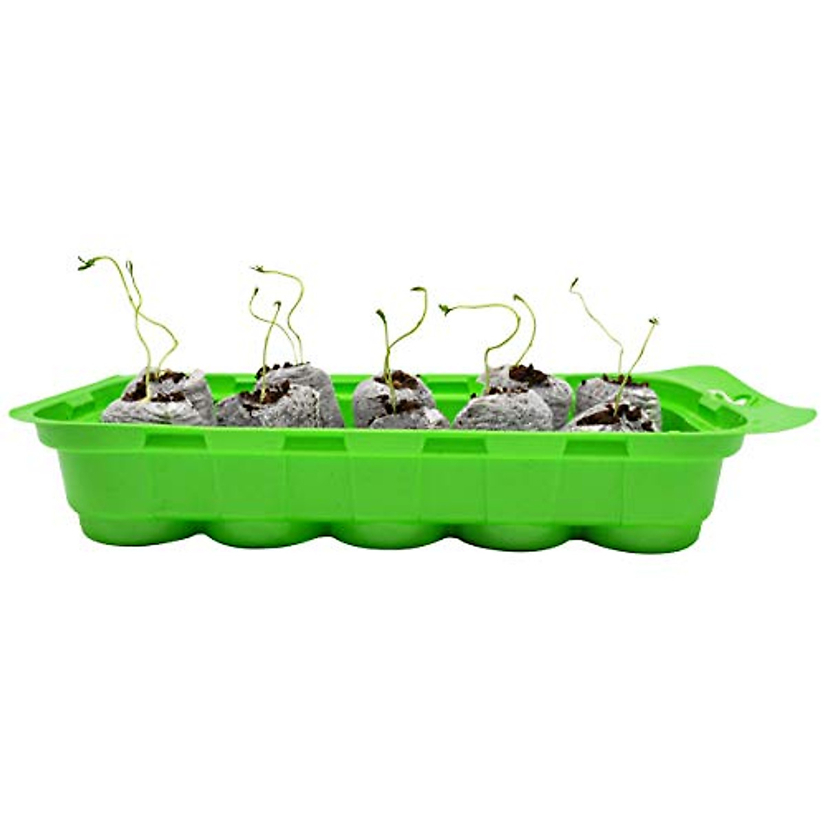 Garden Starter Kit - DIY Seedling Starter for Tomatoes, Peppers, Cucumber Planting (4 Tray)