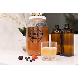 Brew Your Bucha Kombucha Tea SCOBY with Starter Fluid - Kombucha Starter Kit with Scoby, Live Culture, Scoby Kombucha Starter, Kombucha Kit, DIY Kombucha Brewing Kit, Scoby Kombucha Starter (1 Scoby)