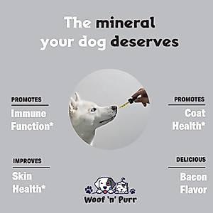 Zinc for Dogs - Dog Zinc Supplement - Helps to Support Healthy Skin, Coat, Immune Health & More - Dog Zinc - Dog Skin and Coat Supplement - Skin and Coat Supplement for Dogs - 1 fl oz - Bacon Flavor