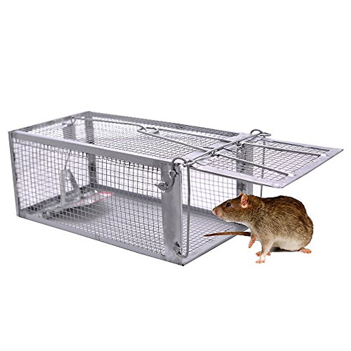 MATATA Humane Mouse Trap Live Animal Cage Trap for Rats Mice Gopher Rodents Chipmunks and Similar Sized Pests