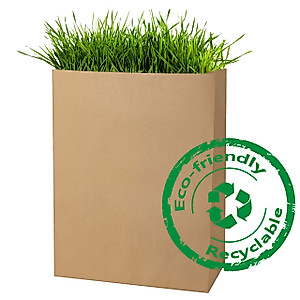 BagDream Grocery Bags 12x7x17 Inches 100Pcs Heavy Duty Kraft Brown Paper Grocery Bags Durable Kraft Paper Bags, Paper Barrel Sack Bags, 100% Recycled Kraft Paper Gift Bags Bulk