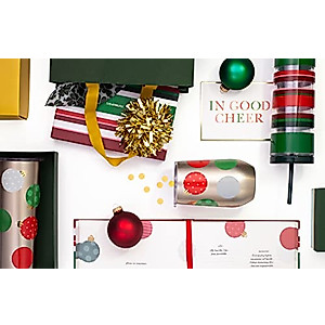 Kate Spade New York Acrylic Holiday Tumbler with Lid and Straw, 24 oz Tumbler, Slim Double Wall Tumbler, Christmas Stripe