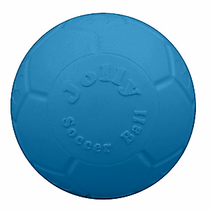 Jolly Pets Large Soccer Ball Floating-Bouncing Dog Toy, 8 inch Diameter, Ocean Blue