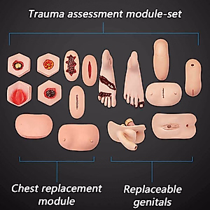 WFZY Training Manikin Model Mannequin Patient Education Teaching Model 170 cm PVC Anatomical Mannequin, Body Care Simulator Model for Nursing Medical Training Teaching
