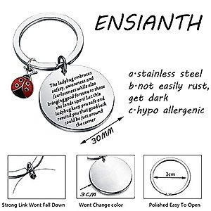 ENSIANTH Ladybug Keychian Good Luck Ladybug Keychain Insect Lover Gift Animal Researchers Jewelry Beetle Ladybug Gift Best Friend Gift (Ladybug Key)