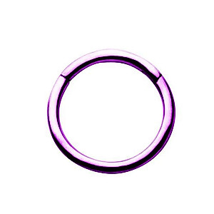 16GA Purple Titanium Plated Stainless Steel Hinged Segment Ring for Septum, Cartilage, and Daith Piercings (8mm (5/16"))
