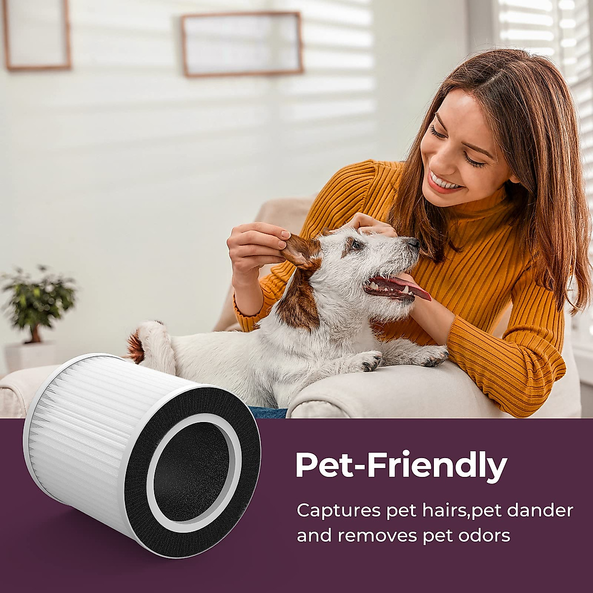 Official H13 Replacement Filter for B-D02L Air Purifiers