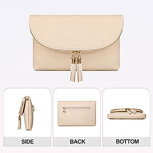 Solene Women's Envelop Clutch Crossbody Bag With Tassels Accent (WU075-Nude)
