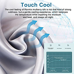 Silk Pillowcase 2 Pack for Hair and Skin, Ravmix Mulberry Silk Pillow Cases Standard Size 20×26inches Set of 2 Cooling Silk Pillow Covers with Hidden Zipper, Silver Grey