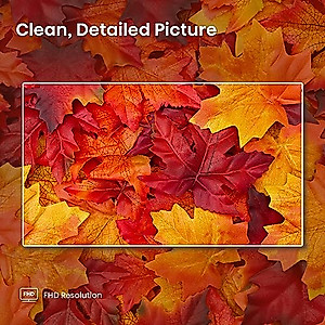 Hisense 32-Inch Class A4 Series FHD 1080p Google Smart TV (32A4K) - DTS Virtual: X, Game & Sports Modes, Chromecast Built-in, Alexa Compatibility