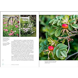 The Landscapes of Anne of Green Gables: The Enchanting Island that Inspired L. M. Montgomery